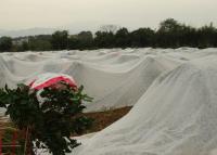 China Waterproof Agriculture Non Woven Fabric Roll 4% UV Treated Weed Control for sale