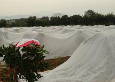 China Waterproof Agriculture Non Woven Fabric Roll 4% UV Treated Weed Control for sale