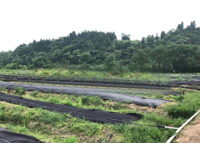 China Hydrophilic Non Woven Biodegradable Fabric 50cm ~ 200cm Width For Ground Cover for sale