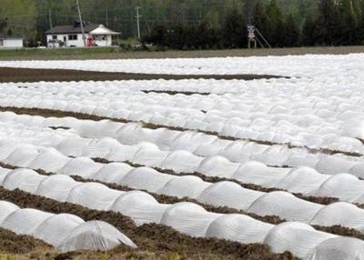 China Eco Friendly Agriculture Non Woven Fabric With 1% - 4% UV Treated OEM / ODM Available for sale