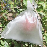 China ISO14000 High Tension Agriculture Non Woven Fabric Anti Mildew 300g/M2 for sale