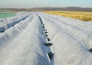 China Breathable Hydrophobic PP Non Woven Fabric Anti Static For Agriculture for sale