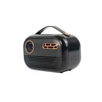China Promise SP01 Dual Band 5G WiFi Home Theater Projector 854x480 DLP 4K Support for sale