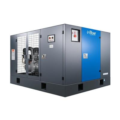 China 8bar Rotary Synthetic Compressor System Offering Consistent Pressure Delivery and Robust Performance in Harsh Conditions for sale