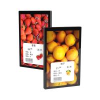 China Waterproof IP65 Electronic Price Tag with Display Resolution 128*64 Humidity Range 10%-90% for sale