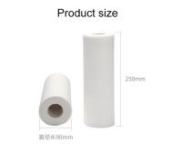 China Wholesale Eco-Friendly Biodegradable Kitchen Paper Towel 60GSM Strong Adsorption 24x25cm Roll for sale
