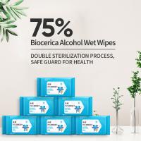 China 75% Medical Alcohol Antiseptic Disinfectant Wet Wipes 150x180mm 10pcs Pack for sale