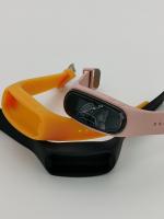 China Fitness Pedometer Watch 24 Hour Waterproof Step Tracker 24x2.2x1.56cm ABS Silicone for sale
