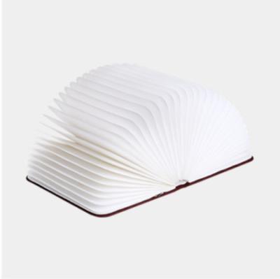 China Mini LED Book Night Light USB Charging 135x90x30mm Wooden Creative Shape for sale