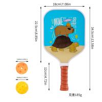 China Fiberglass Children Pickleball Racket Set 41.5cm Parent Child Beginner Toy Gift for sale
