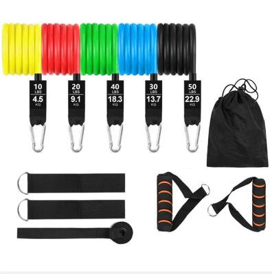 China  Resistance Band Set With Multiple Resistance Levels And Accessory Kit for sale