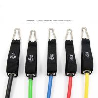 China  Resistance Band Set With Multiple Resistance Levels And Accessory Kit for sale