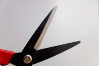 China Kitchen Ambidextrous Design Pruning Snips Micro Sawtooth Blade for sale