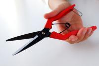 China Kitchen Ambidextrous Design Pruning Snips Micro Sawtooth Blade for sale