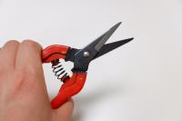 China SK5 Steel Housework Pruning Snips Shears Light Weight for sale