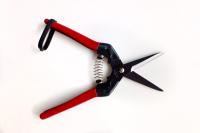 China Big Electric Pruning Shears Electric Black Safety Buckle for sale