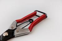 China SINSEUNG X1 Hardware Scissors Onion Scissors  Spring And Ambidextrous Structure for sale