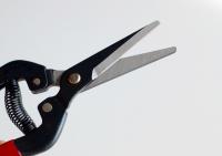 China ambidextrous SK5 Multipurpose Garden Snips With Alkaline Black Dye Coating On Blade Tips for sale