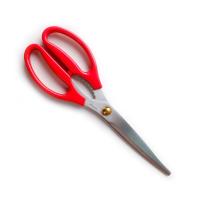 China A5 Gardening Scissors Plant Trimming Pruning Shears Garden Pruners Flower Clipper pruning shears garden for sale