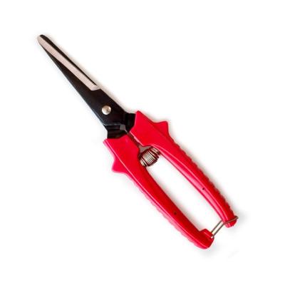 China Multi-Tasking Small Garden Pruning Snips Straight Florist Scissors Shears for sale