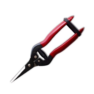 China SINSEUNG X3 Hardware Scissors With Alkaline Black Dye Coating On Blade Tips for sale