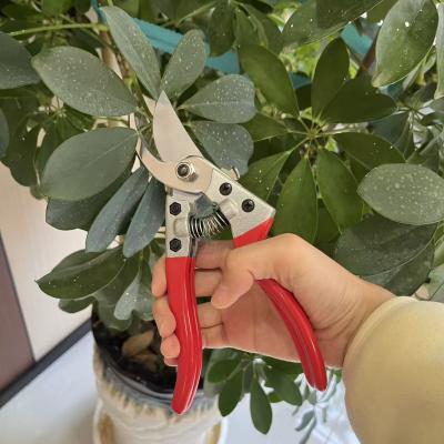 China Premium with SK5 High-Carbon Steel Blades, -59 Hardness, Anti-Rust Oil Maintenance for Enhanced garden pruning snips for sale