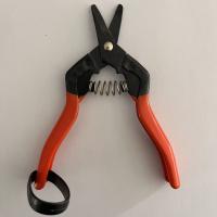 China 155mm Length Garden Scissors with Ergonomic Handle and Heat Treatment Process for Fruit Pick Up for sale