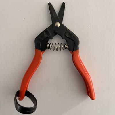 China 155mm Length Garden Scissors with Ergonomic Handle and Heat Treatment Process for Fruit Pick Up for sale