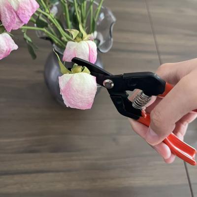 China Heat Treated SK5 High Carbon Steel Garden Scissors with -60 Hardness for Fruit Picking Pruning Secateurs Garden Tool for sale