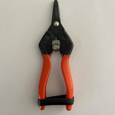 China 155mm Length with SK5 High Carbon Steel Blades Ergonomic Handle for Fruit Picking Pruning garden pruning snips for sale