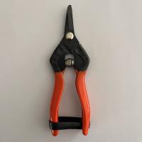 China SK5 High Carbon Steel Blades Garden Scissors with Ergonomic Handle -60 Hardness for Fruit Picking Secateurs Garden Tool for sale
