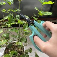 China 160mm Scissors Length Garden Tools Stainless Steel Blades for Trimming Pruning long handled garden secateurs for sale