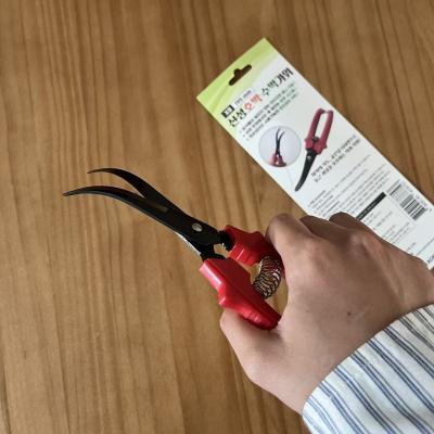China Red Handle Garden Tools Curved Metal Blade Hardness Rate -59 for Precision Cutting Maintenance Secateurs Garden Tool for sale