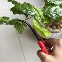 China 78g Pruner with Red Handle Designed to Enhance Accuracy and Reduce Fatigue During Intensive Pruning Activities for sale