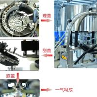 China Automatic Spindle Capping Machine FXZ-6J 6000 BPH for Pesticide and Fertilizer Bottles for sale