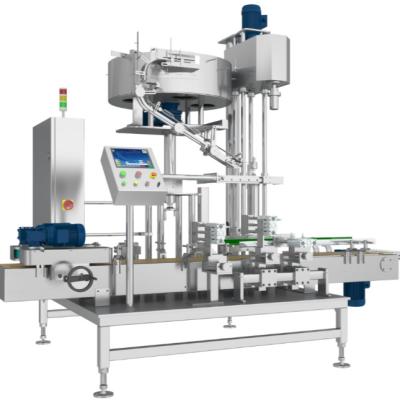 China Automatic Single Head Ropp Capping Machine FX-1D 600BPH 1-5L 5-30L Drum for sale