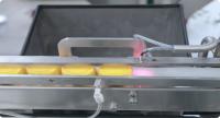 China GX-16-12TS High Speed Follow Type Integrated Filling Capping Machine 10000BPH 380V for sale