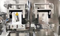 China 30-50 Pouches/Min DGD-220CJ Automatic Horizontal Pouch Packing Machine for sale