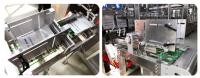 China Agricultural Chemical DGD-220BJ Fully Automatic Horizontal Bagging Machine for sale