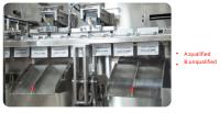 China Pesticides DGD-320-2 Fully Automatic Horizontal Double Feed Bagging Machine for sale
