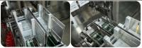 China Agricultural Chemical DGD-320-2 Fully Automatic Horizontal Double-Feed Bagging Machine for sale