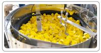 China Electric Drive 0.6-0.8MPa FX-6AH Automatic Rotary Capping Machine for sale