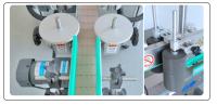 China Pharmaceutical Chemical Self Adhesive Double Sided Labeling Machine for sale