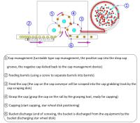 China 6500 BPH Rotary Automatic Capping Machine 80ml-1000ml 6 Capping Heads for sale