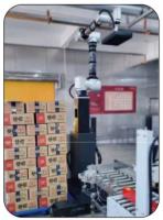 China Ai-RMD30 AI Collaborative Palletizing Robot (≤9 Cartons/Min) – Intelligent Flexible Palletizing Solution for Multiple Scenarios for sale