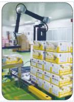 China Ai-RMD30 AI Collaborative Palletizing Robot (≤9 Cartons/Min) – Intelligent Flexible Palletizing Solution for Multiple Scenarios for sale