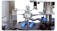 China Pesticide Filling Machine With Production Capacity Up To 4000 Bottles Per Hour Ensuring High Throughput And Reliability for sale