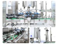 China Pesticide Filling Machine With Production Capacity Up To 4000 Bottles Per Hour Ensuring High Throughput And Reliability for sale