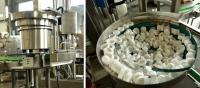 China FXJ-1 Automatic Bottle Capping Machine 2200 BPH with Cap Sorter for Φ25-50mm Caps for sale