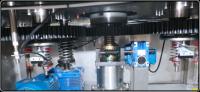 China YG-10DS 4.0KW Rotary Automatic Bottle Capping Machine - 8000bph Capacity for 80-1000mL Bottles for sale